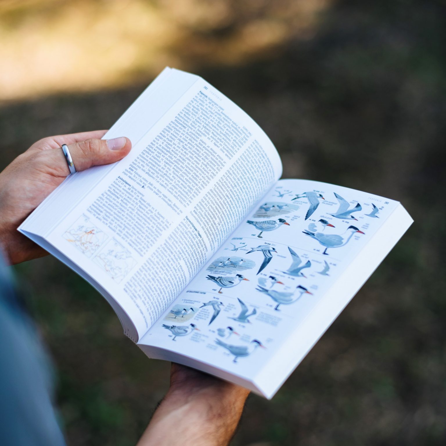 BirdLife Cyprus online shop – eShop