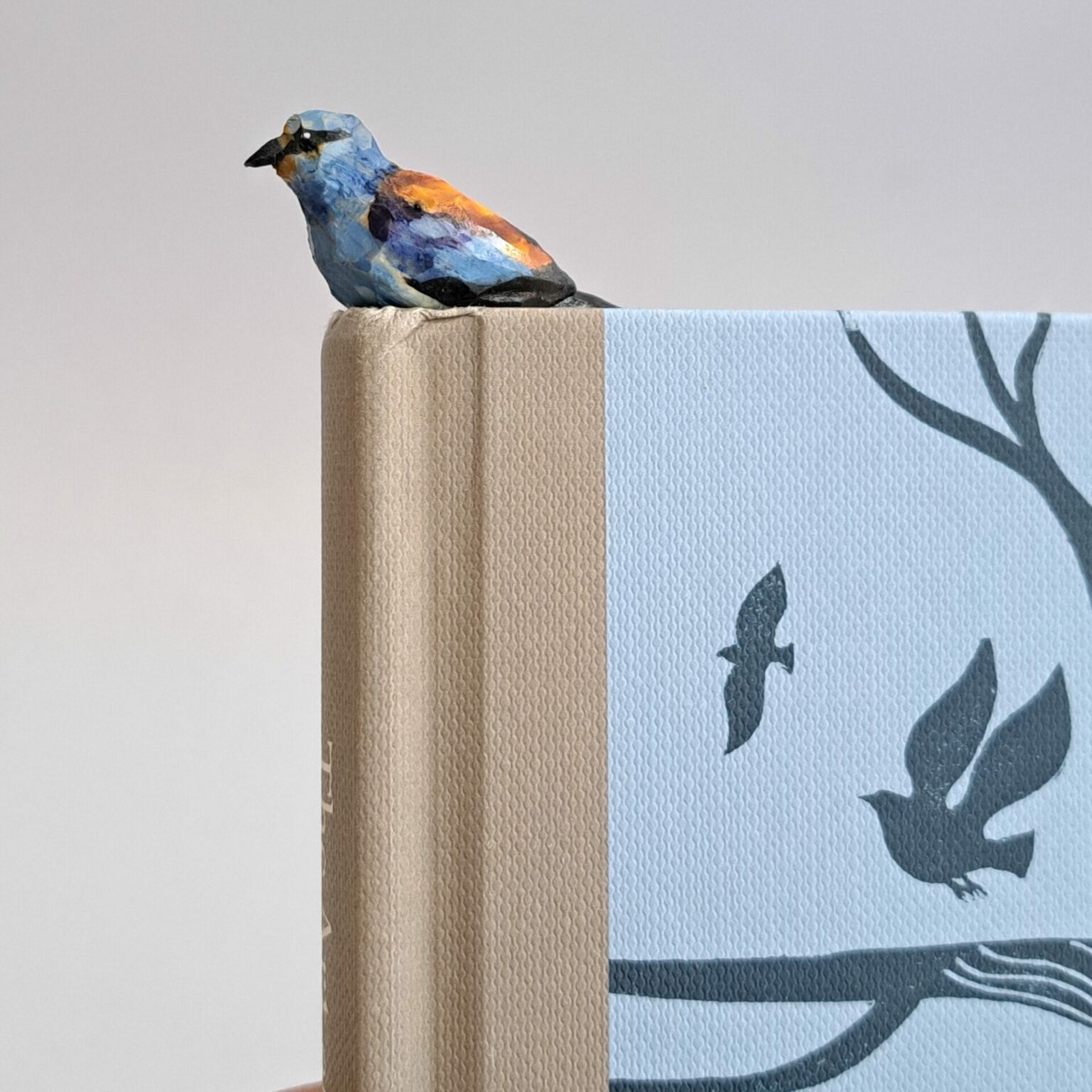 BirdLife Cyprus online shop – eShop