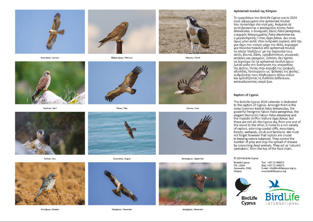 Ημερολόγιο τοίχου 2024 І Αρπακτικά πουλιά της Κύπρου – BirdLife Cyprus ...